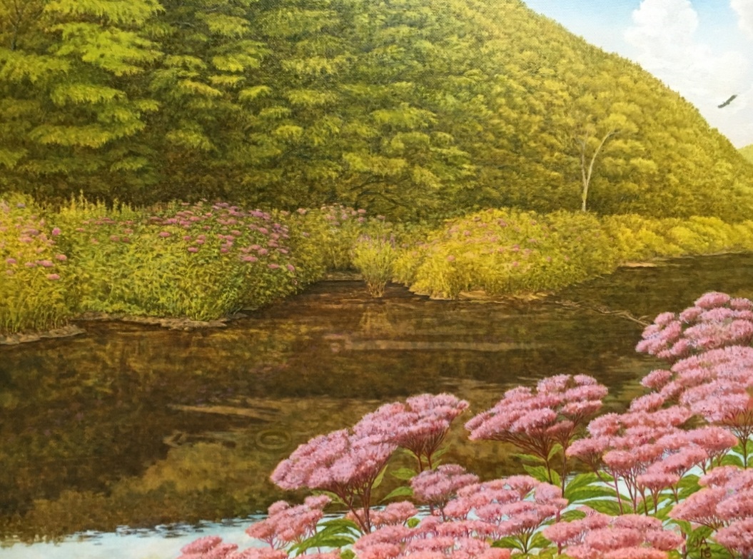 Judy Abbott – Native Plants – Matterfreemedia Web Services